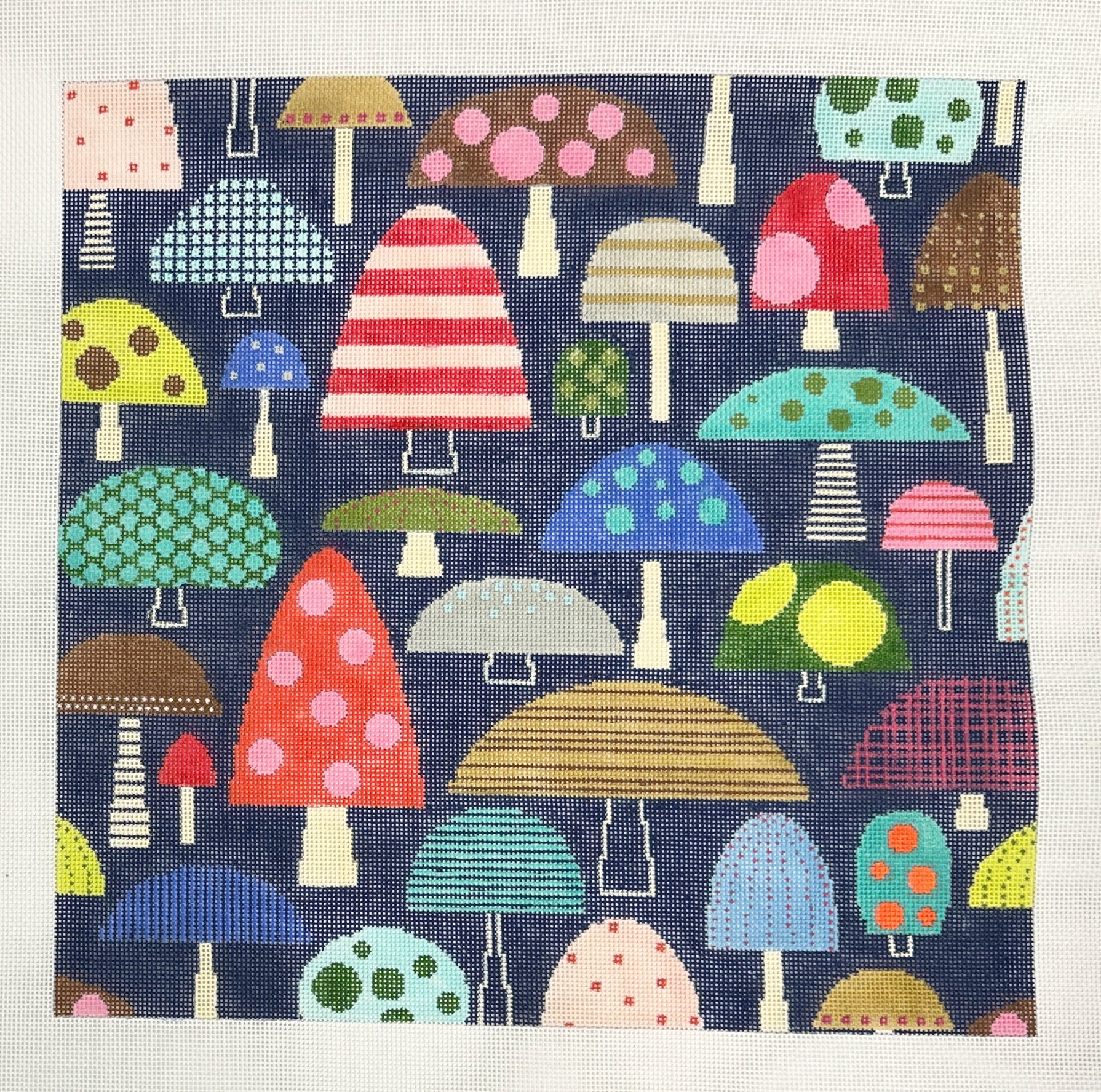 Fun Fungi – The Needle Bug